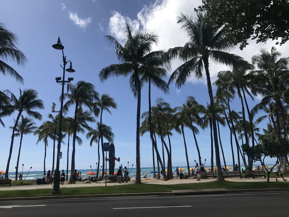 遅めの夏休み☆初めての南国 | 青山・吉祥寺でショートの得意な美容室・ヘアサロン RENJISHI